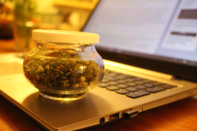 How to Split a Pea (and Why Not to) – Butternutplace