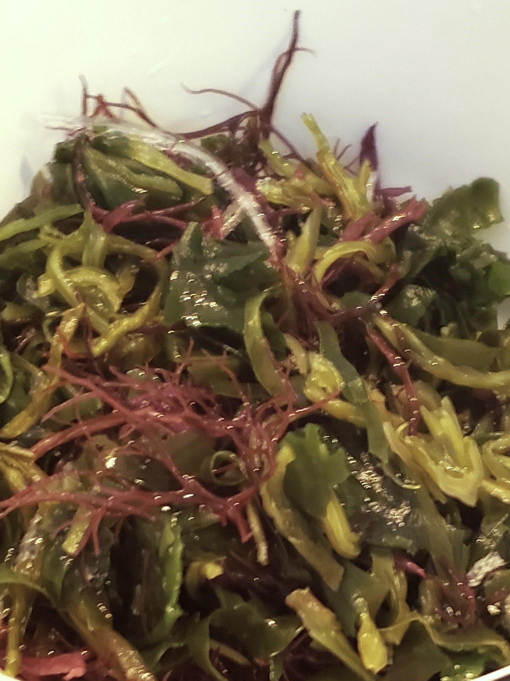 Easy Weeknight Seaweed Salad – Butternutplace